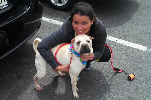 Where Is PETA!?!? Two Baltimore Police Officers Suspended After ...