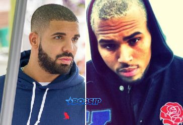 Did Drake Diss Chris Brown On What A Time To Be Alive?