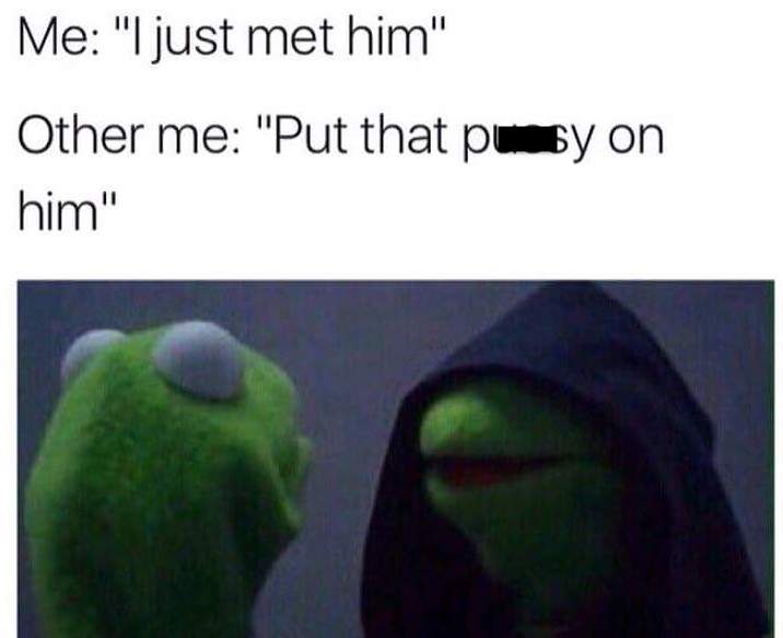 More Hilarious Good Kermit/Evil Kermit Memes