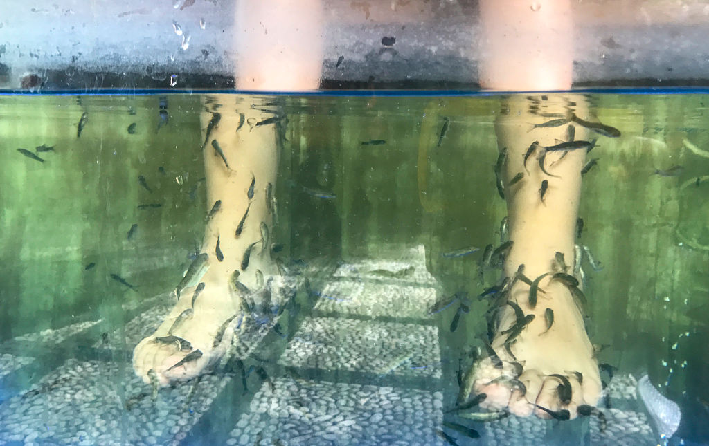 Woman Loses Toes After Fish Pedicure