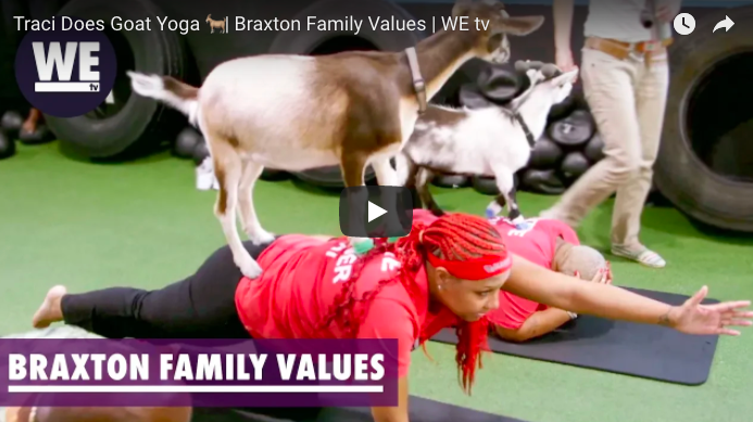 Braxton Family Values Exclusive: The Girls Try Goat Yoga – And Things ...