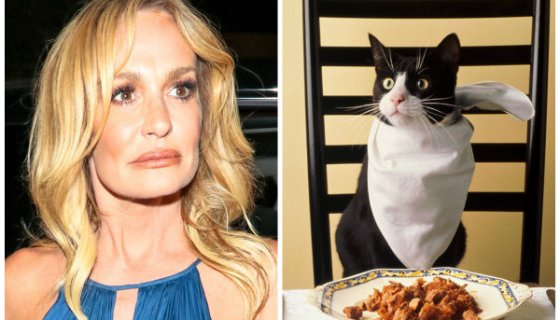 MORE Hilarious Screaming Taylor Armstrong Vs. Salad Cat Memes | Page 2 ...