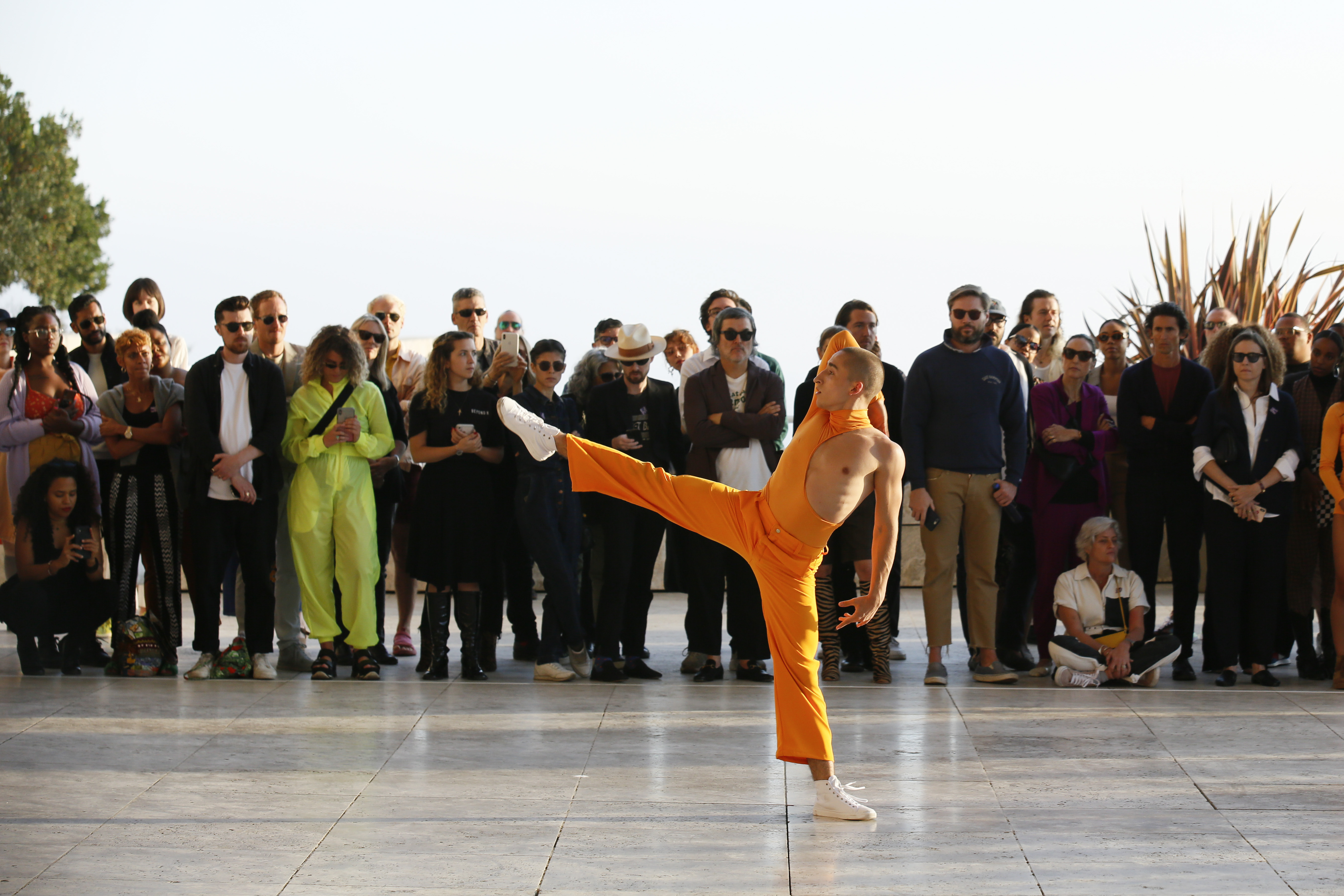 Black Excellence: Solange Previews Her Bridge-s Visual Arts Series ...