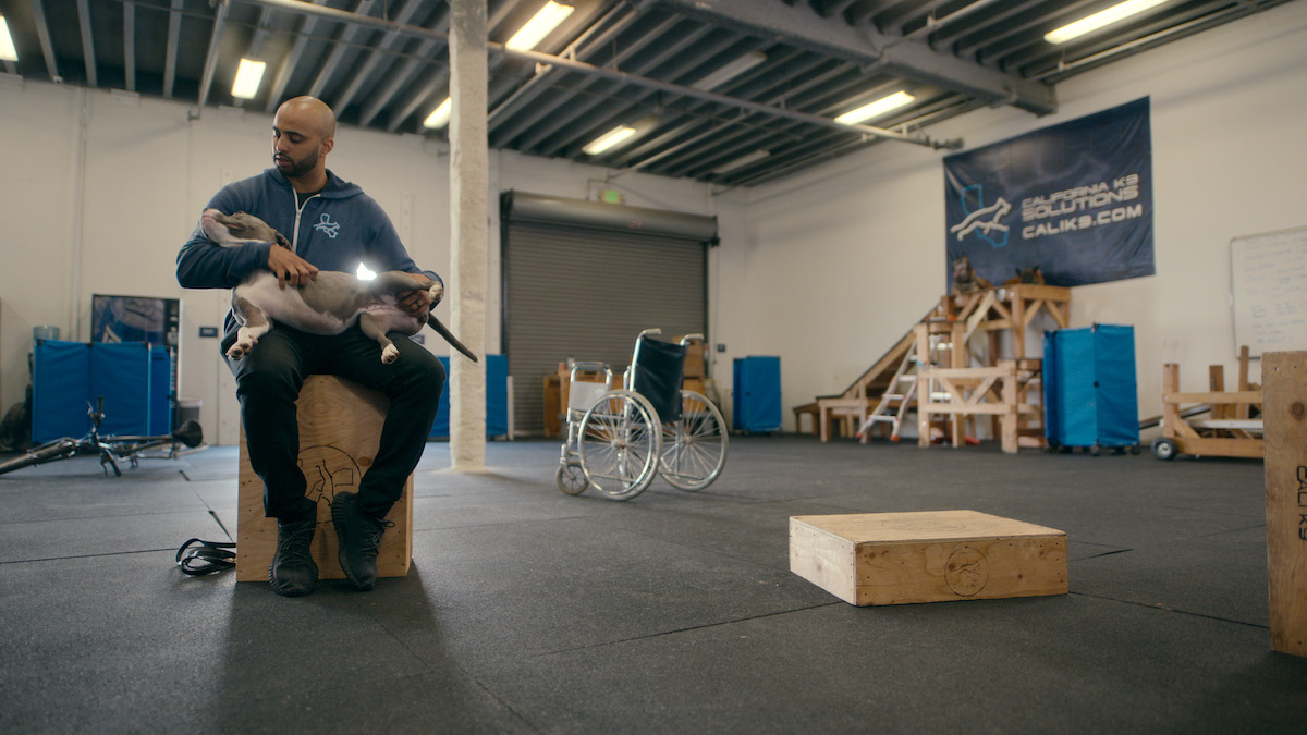 Jas Leverette Talks "Canine Intervention" And Shares Tips For Dog Owners