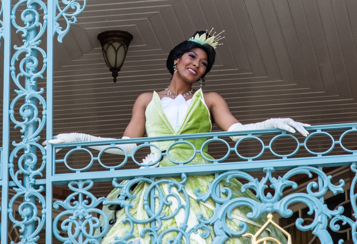 Disney Unveils First Look At Tiana's Bayou Adventure