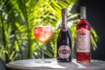 Celebrate National Spritz Day With BOSSIP's Spritzer Guide